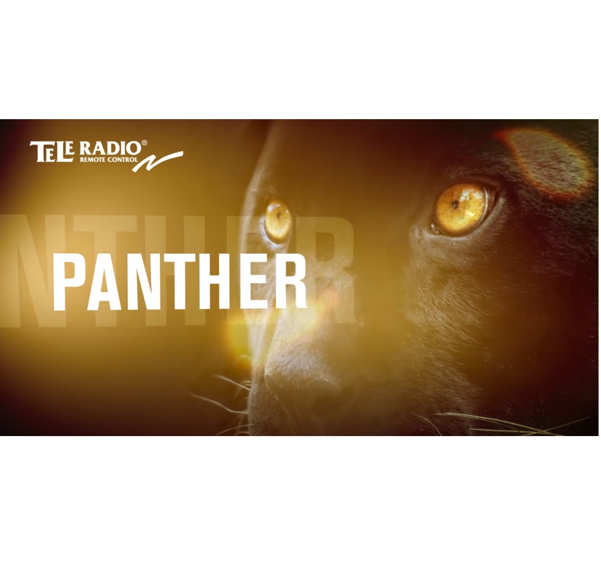 Tele Radio PANTHER Industrial Remote Control System tele-radio-panther-industrial-remote-control-system